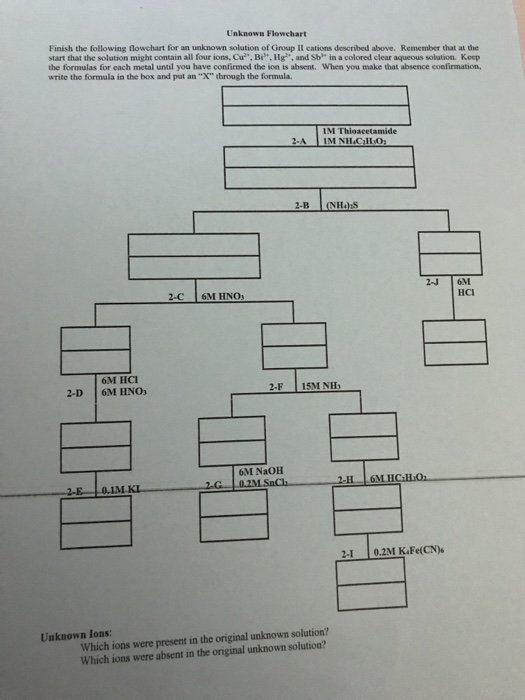 Solved Your Name Lab Day Experiment #?? Unknown D: Group II | Chegg.com
