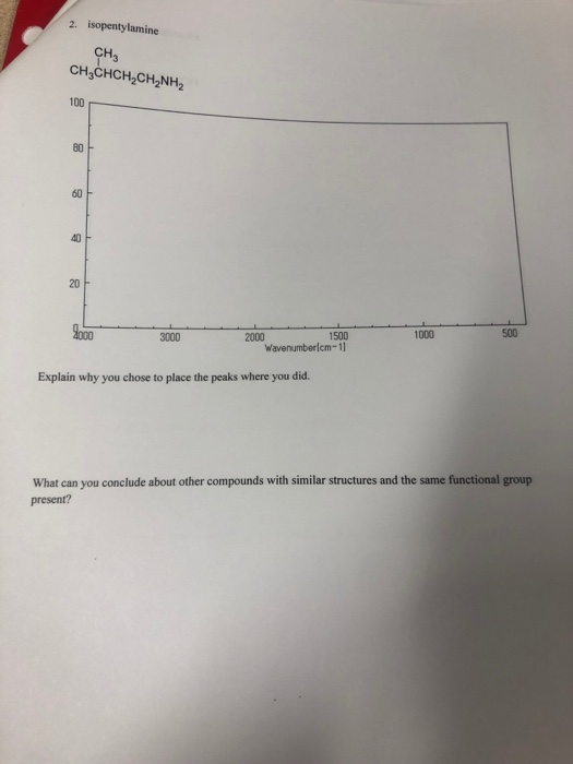 Solved 2. isopentylamine CH3 CH3CHCH2CH2NH2 100 80 60 40 20 | Chegg.com