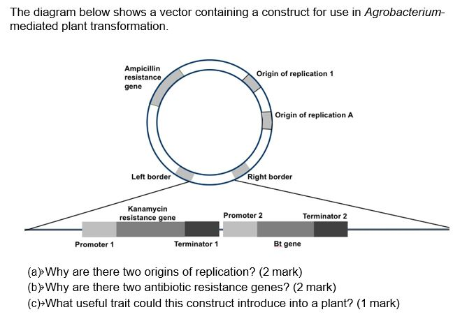 Solved The diagram below shows a vector containing a | Chegg.com