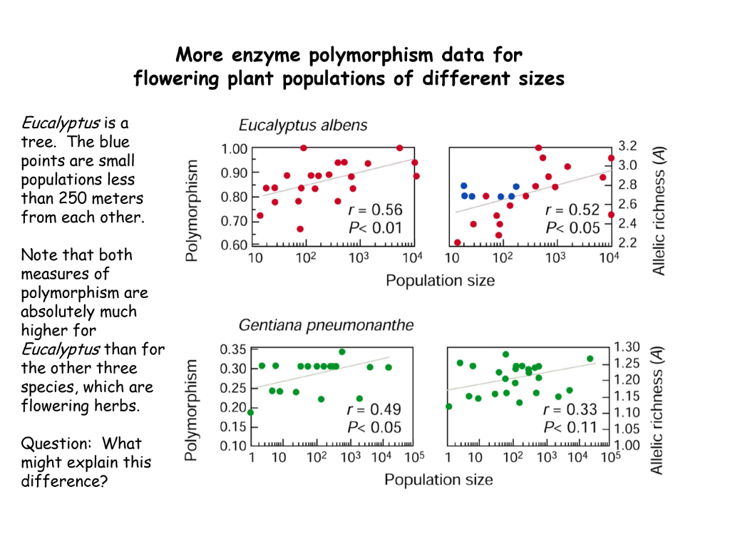 Solved Slides 13 and 14 show enzyme polymorphism levels for | Chegg.com