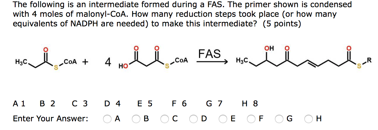 Solved The following is an intermediate formed during a FAS. | Chegg.com