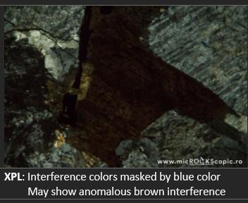 Solved XPL: Masked 2nd Order Colors XPL: Anomalous | Chegg.com