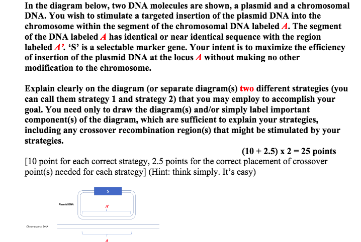 Solved Explain clearly on the diagram(or separate | Chegg.com