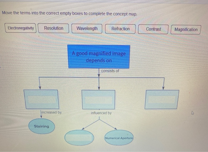 Solved Move the terms into the correct empty boxes to | Chegg.com