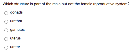 Solved Testicular Reflex, also known as Cremaster reflex, | Chegg.com