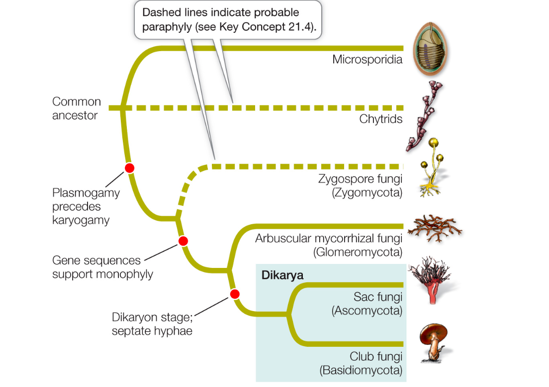 Use the information in table 30.1 (9th/10th eds.) or | Chegg.com