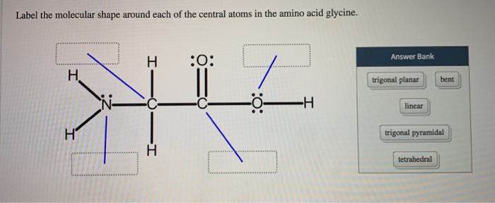 Solved Label the molecular shape around each of the central | Chegg.com