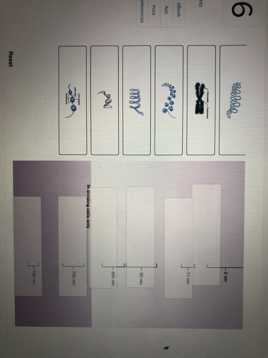 Solved Place the following images in the correct order to | Chegg.com