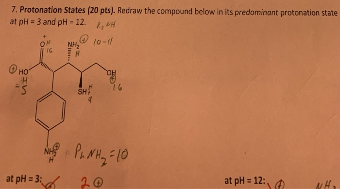 Solved 7. Protonation States (20 pts). Redraw the compound | Chegg.com