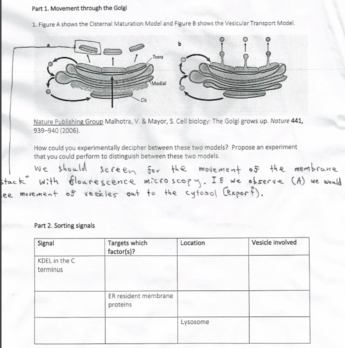 Solved Part 2: Sorting signal in the Golgi (please complete | Chegg.com