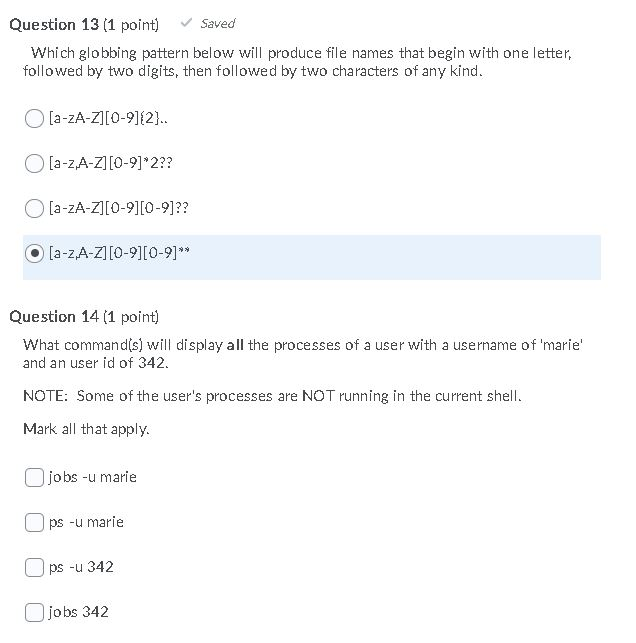 Solved Question 13 (1 point) Saved Which globbing pattern | Chegg.com