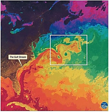 Solved The figure is a false-color map that shows sea | Chegg.com