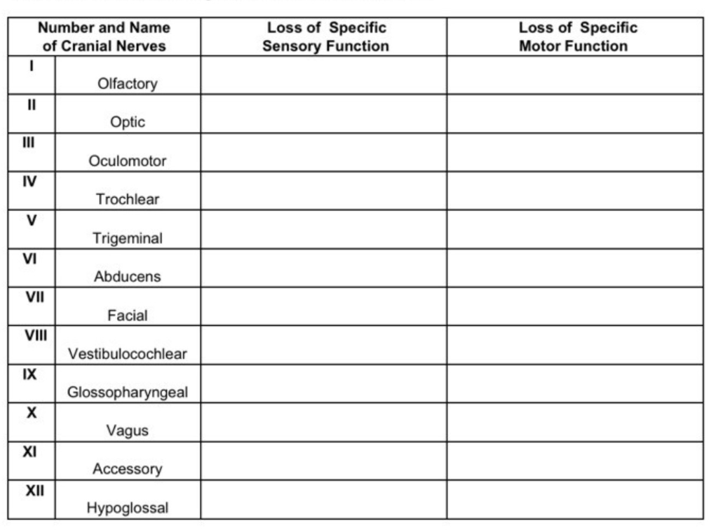 Solved Number and Name of Cranial Nerves Loss of Specific | Chegg.com