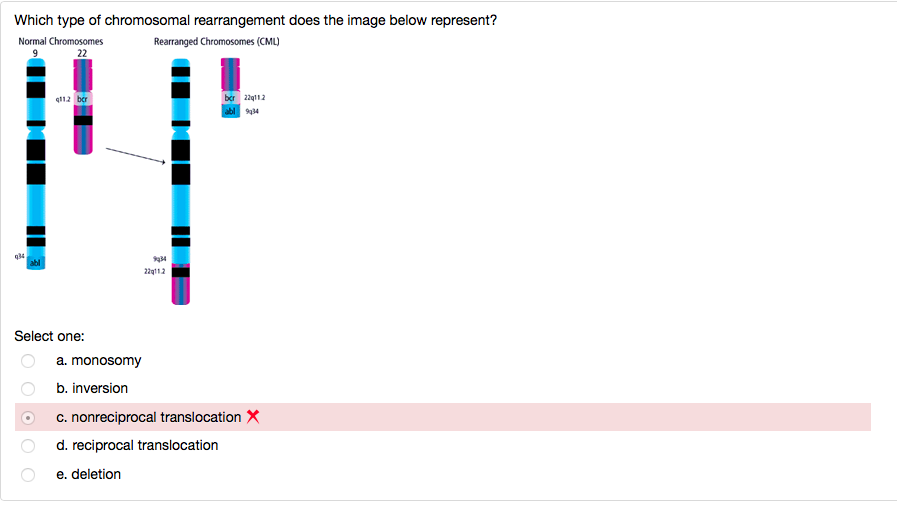 Solved Which type of chromosomal rearrangement does the | Chegg.com