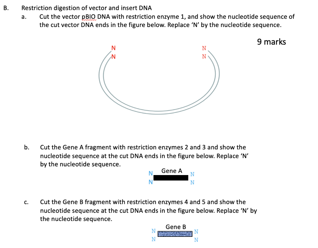 Solved B. a. Restriction digestion of vector and insert DNA | Chegg.com