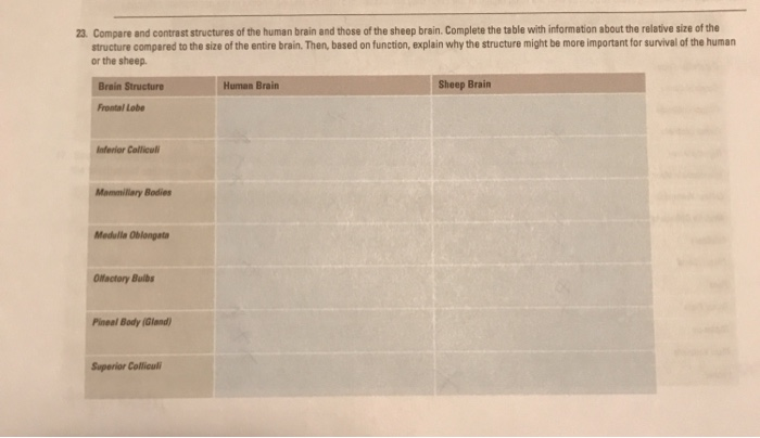 Solved 23. Compare and contrast structures of the human | Chegg.com