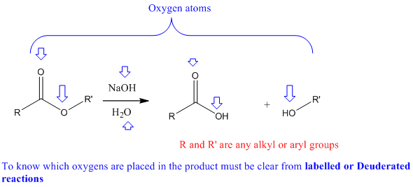 Solved: Chapter 19 Problem 11P Solution | Organic Chemistry 8th Edition ... Solved: Chapter 19 Problem 11P Solution | Organic Chemistry 8th Edition ...