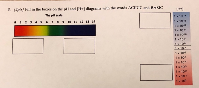 Solved 2pts] Fill in the boxes on the pH and [H+] diagrams | Chegg.com