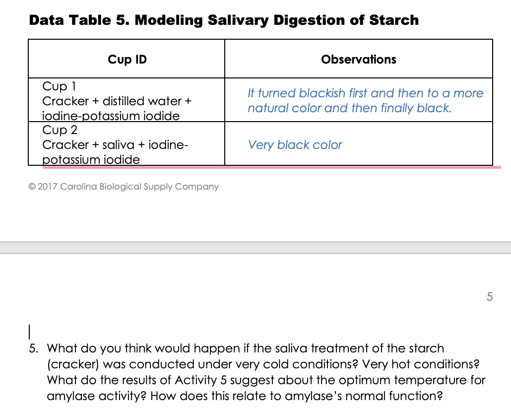 Solved Data Table 5. Modeling Salivary Digestion of Starch | Chegg.com