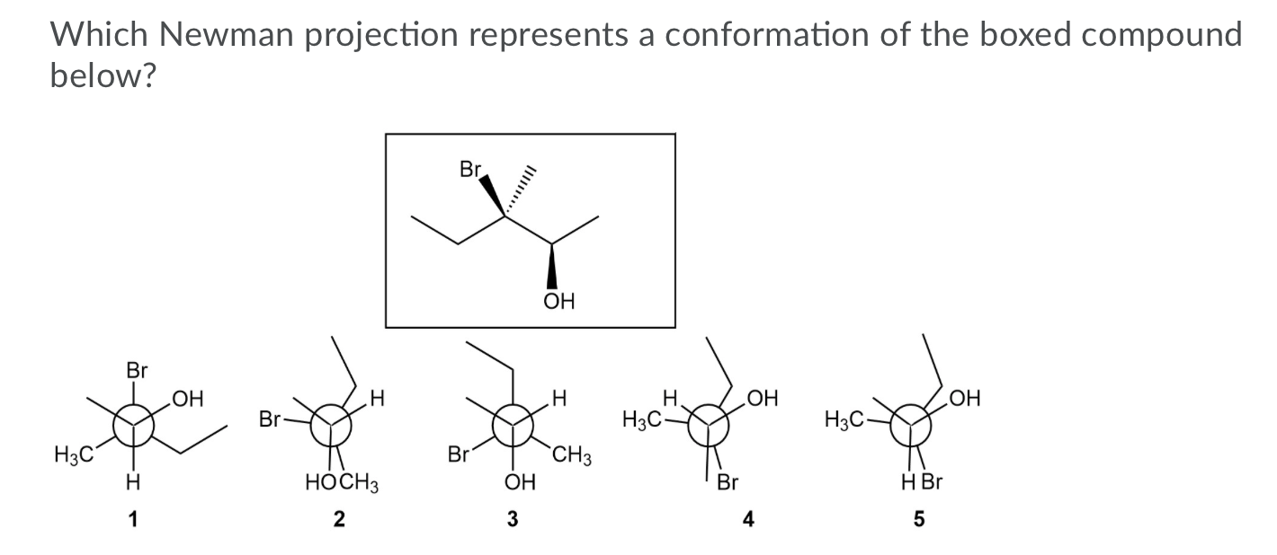 Solved Rank the following Newman projections (conformations) | Chegg.com