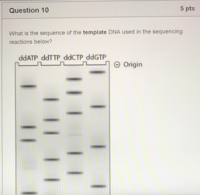Solved 5 pts Question 10 What is the sequence of the | Chegg.com Solved 5 pts Question 10 What is the sequence of the | Chegg.com