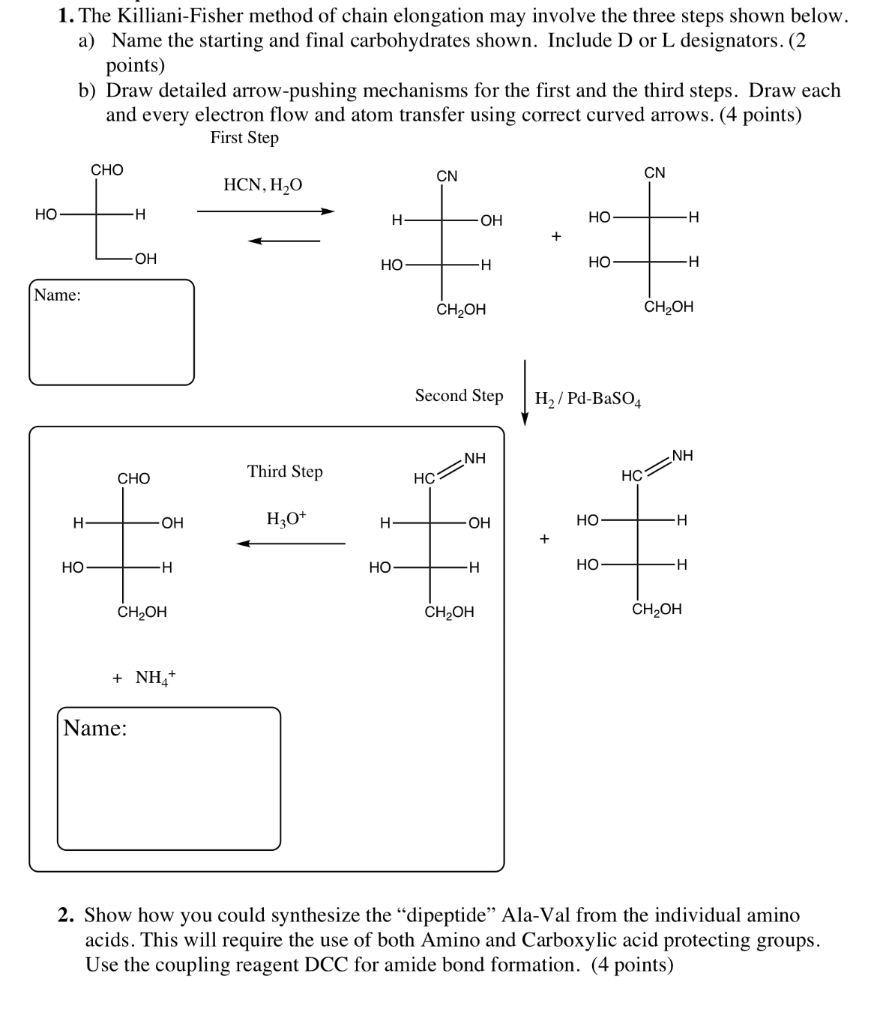 Solved 1. The Killiani-Fisher method of chain elongation may | Chegg.com