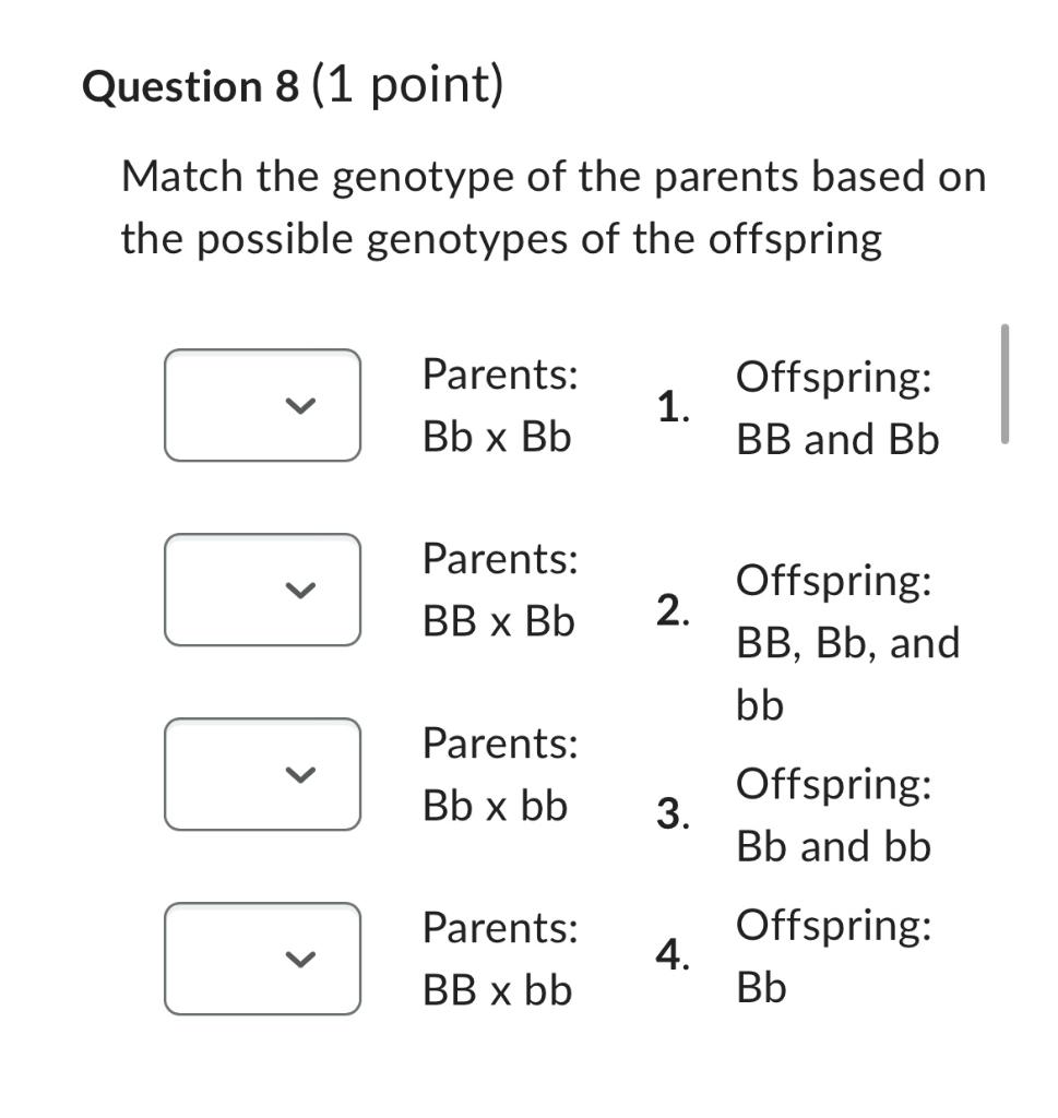 Solved Question 8 (1 point) Match the genotype of the | Chegg.com