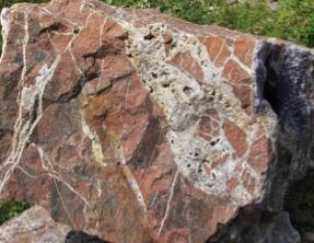 Solved Picture of deformed sedimentary rock. Answer the | Chegg.com