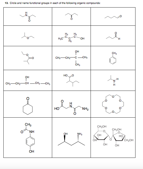 Solved 13. Circle and name functional groups in each of the | Chegg.com