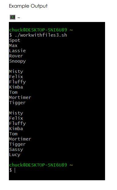 Solved Directions Using the following guidelines, create a | Chegg.com