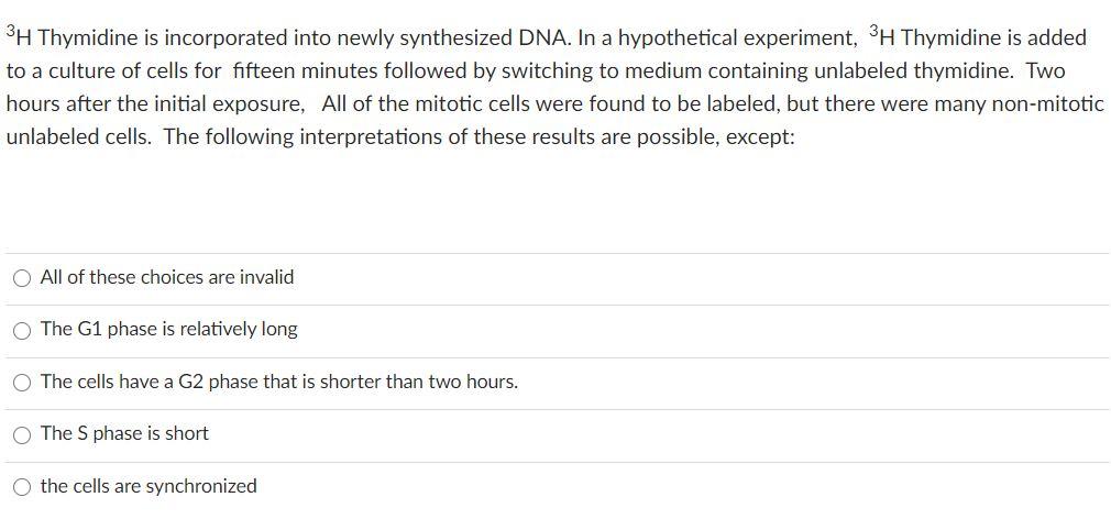 Solved 3H Thymidine is incorporated into newly synthesized | Chegg.com