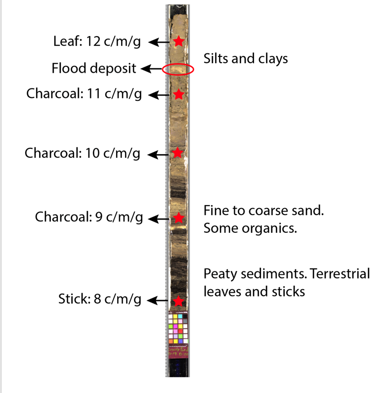 Solved The figure below shows a sediment core collected from | Chegg.com