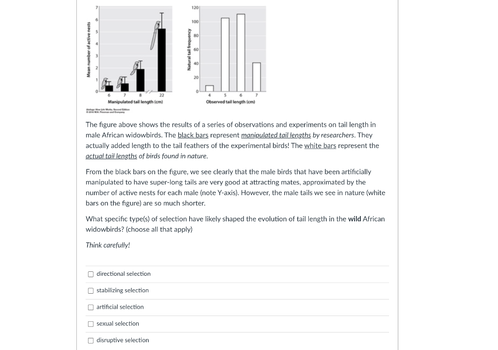Solved 1.Which of the following is TRUE of mutations? | Chegg.com