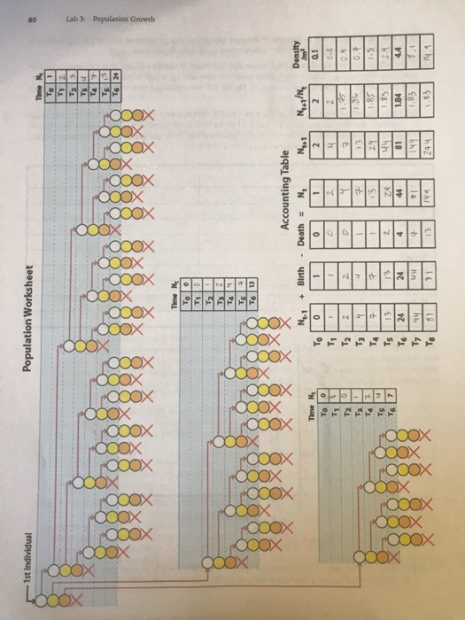 Lab 3 Population Growth 78 10. Your accounting table | Chegg.com