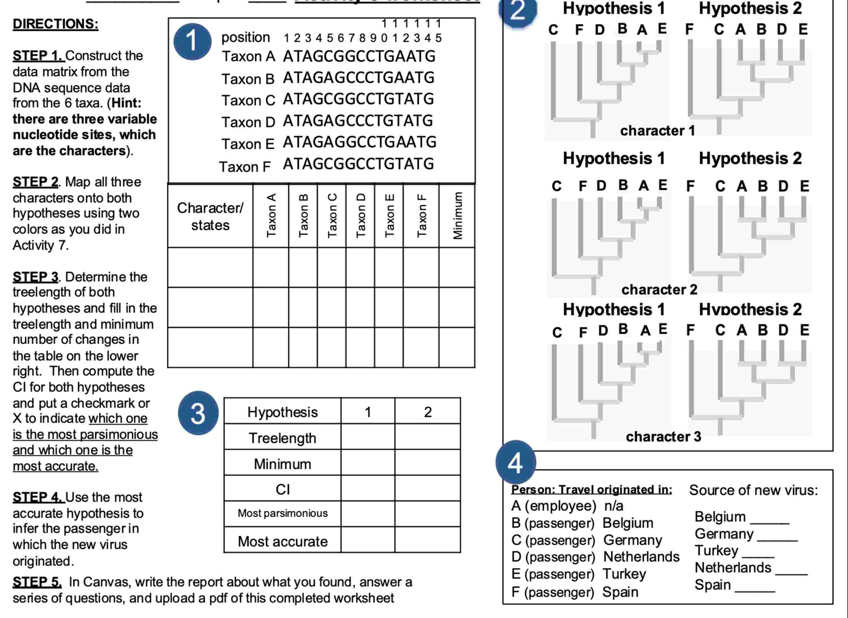 Solved originated. STEP 5. ﻿In Canvas, write the report | Chegg.com