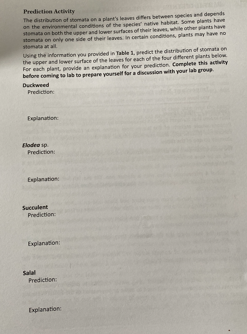 Solved Plant type Habitat cuticle leaf orientation Stomato | Chegg.com