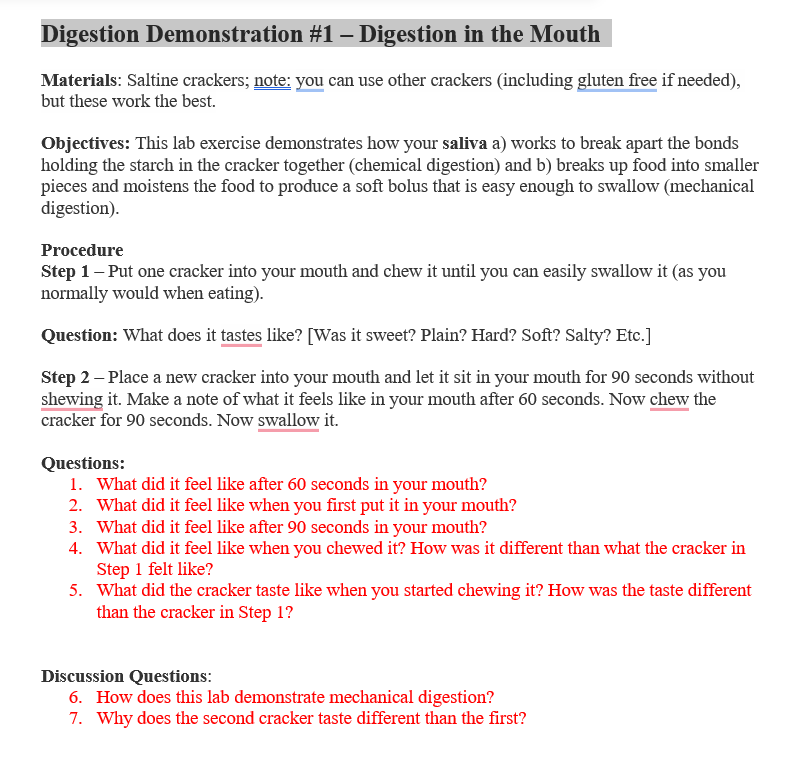 Solved Digestion Demonstration #1 - ﻿Digestion in the Mouth | Chegg.com