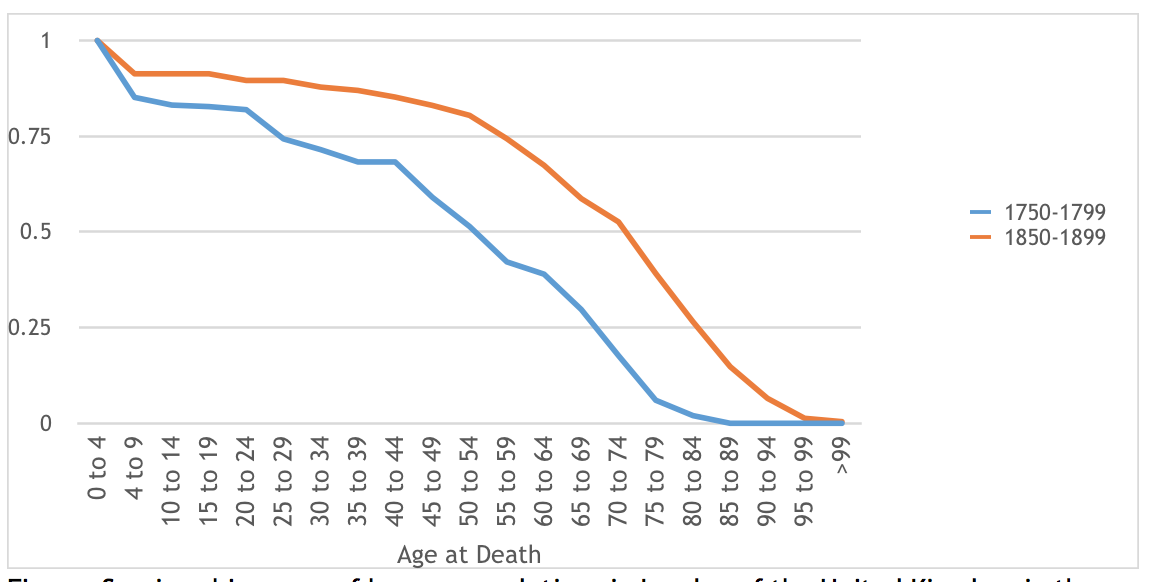 Solved Use the figure below and your knowledge of | Chegg.com