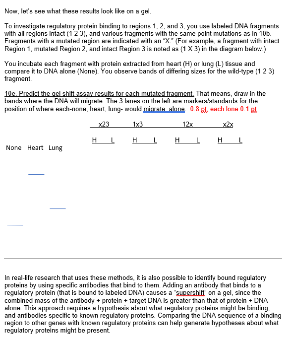 Solved 5. What is an interchromatin compartment? 0.5 nt a | Chegg.com