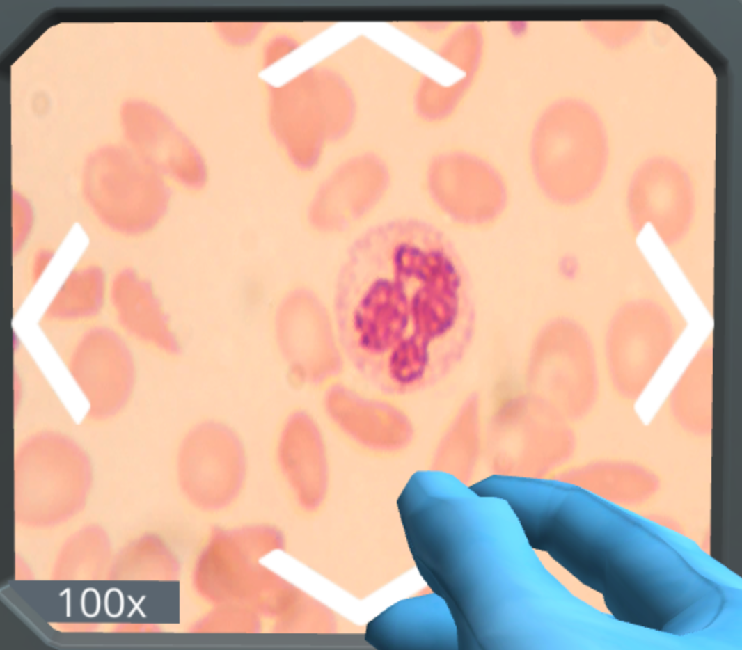Red Blood Cell Microscope 100x