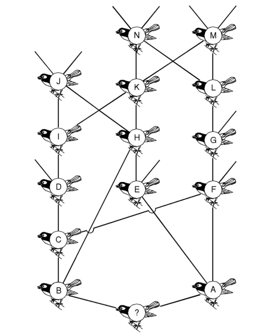 Solved Find the inbreeding coefficient for “?” with | Chegg.com