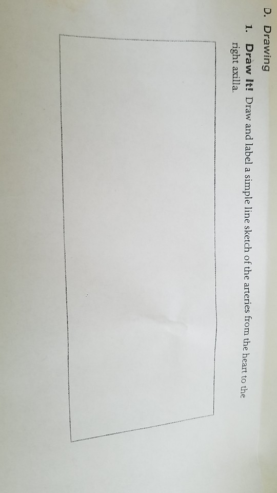 Solved D. Drawing Draw lt! Draw and label a simple line | Chegg.com