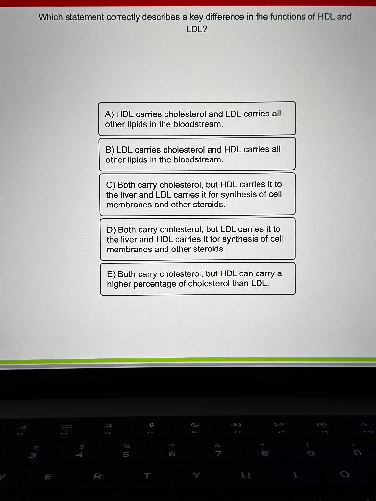Solved Which statement correctly describes a key difference | Chegg.com