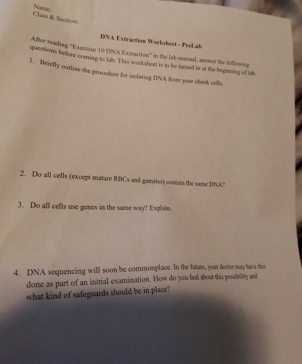Solved Name: Class & Section: DNA Extraction Worksheet- | Chegg.com
