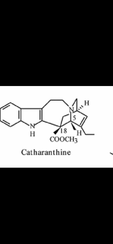 Solved 18 H COOCH3 Catharanthine Assignment 1, Du 10/21 | Chegg.com