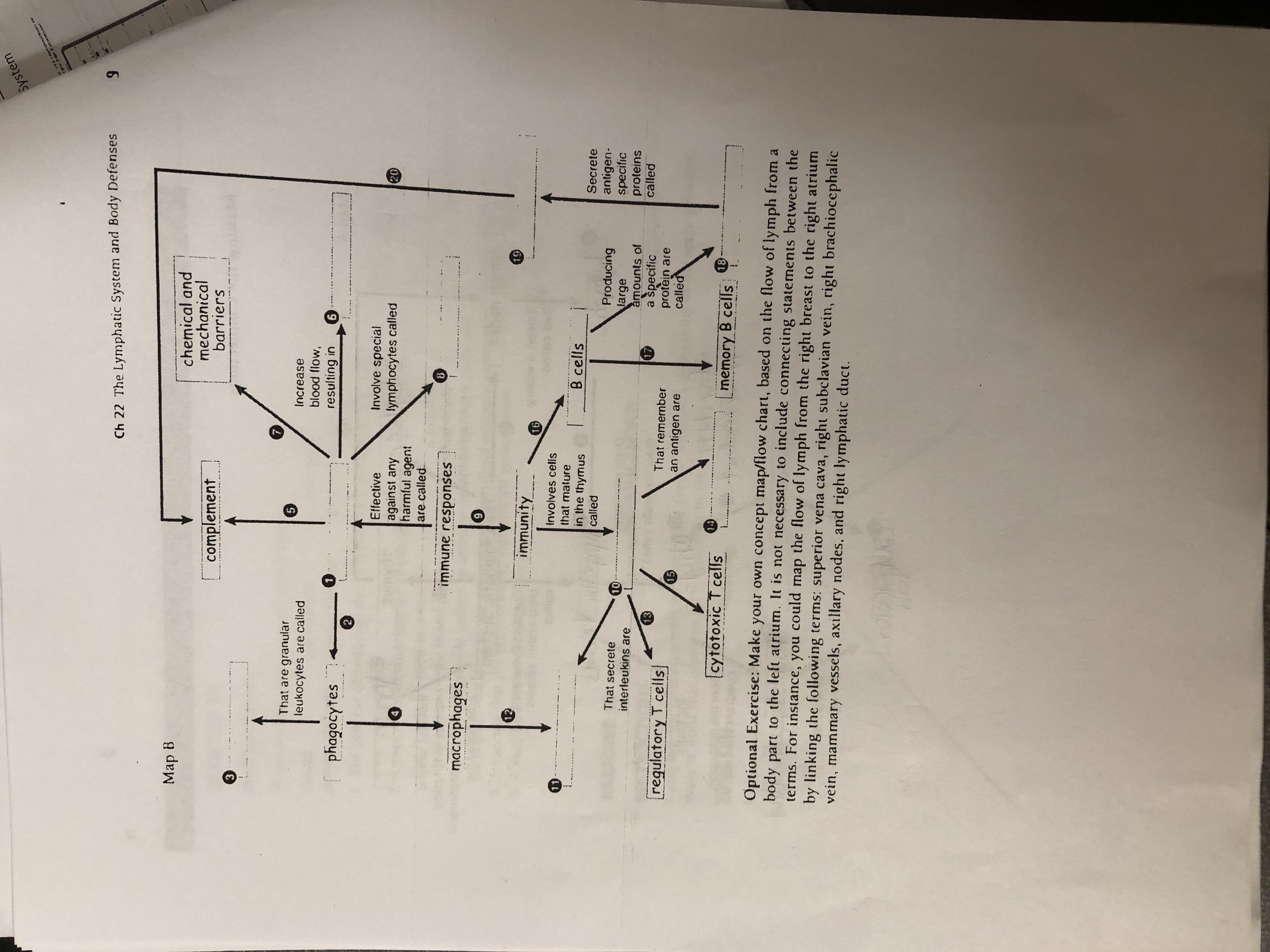 Solved Ch 22 The Lymphatic System and Body Defenses body | Chegg.com