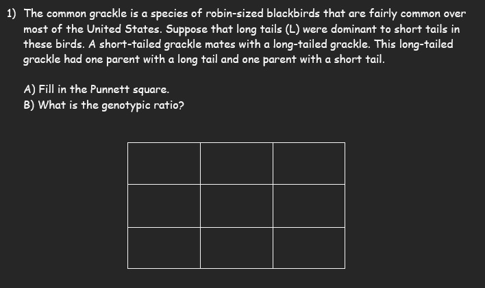 Solved The common grackle is a species of robin-sized | Chegg.com