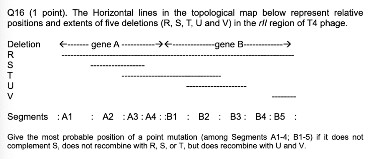 Solved Q16 (1 point). The Horizontal lines in the | Chegg.com