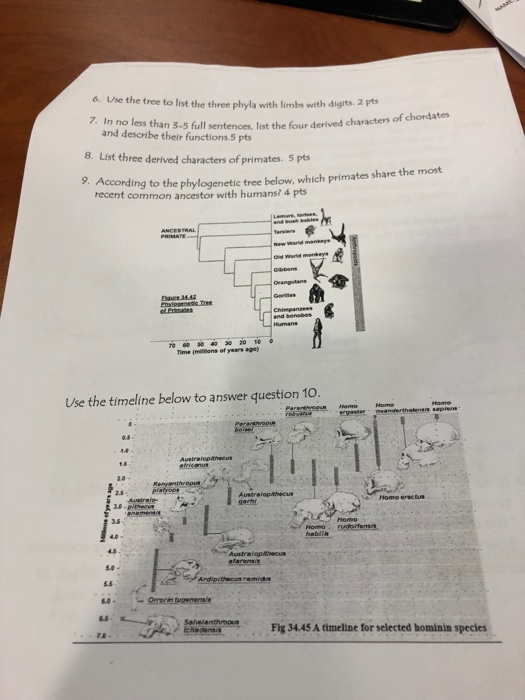 Solved 6. Use the tree to list the three phyla with limbs | Chegg.com