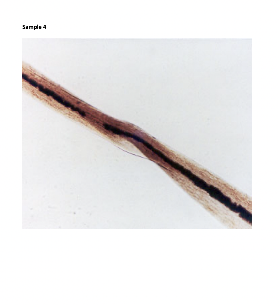 Solved Sample 3 Sample 4 | Chegg.com